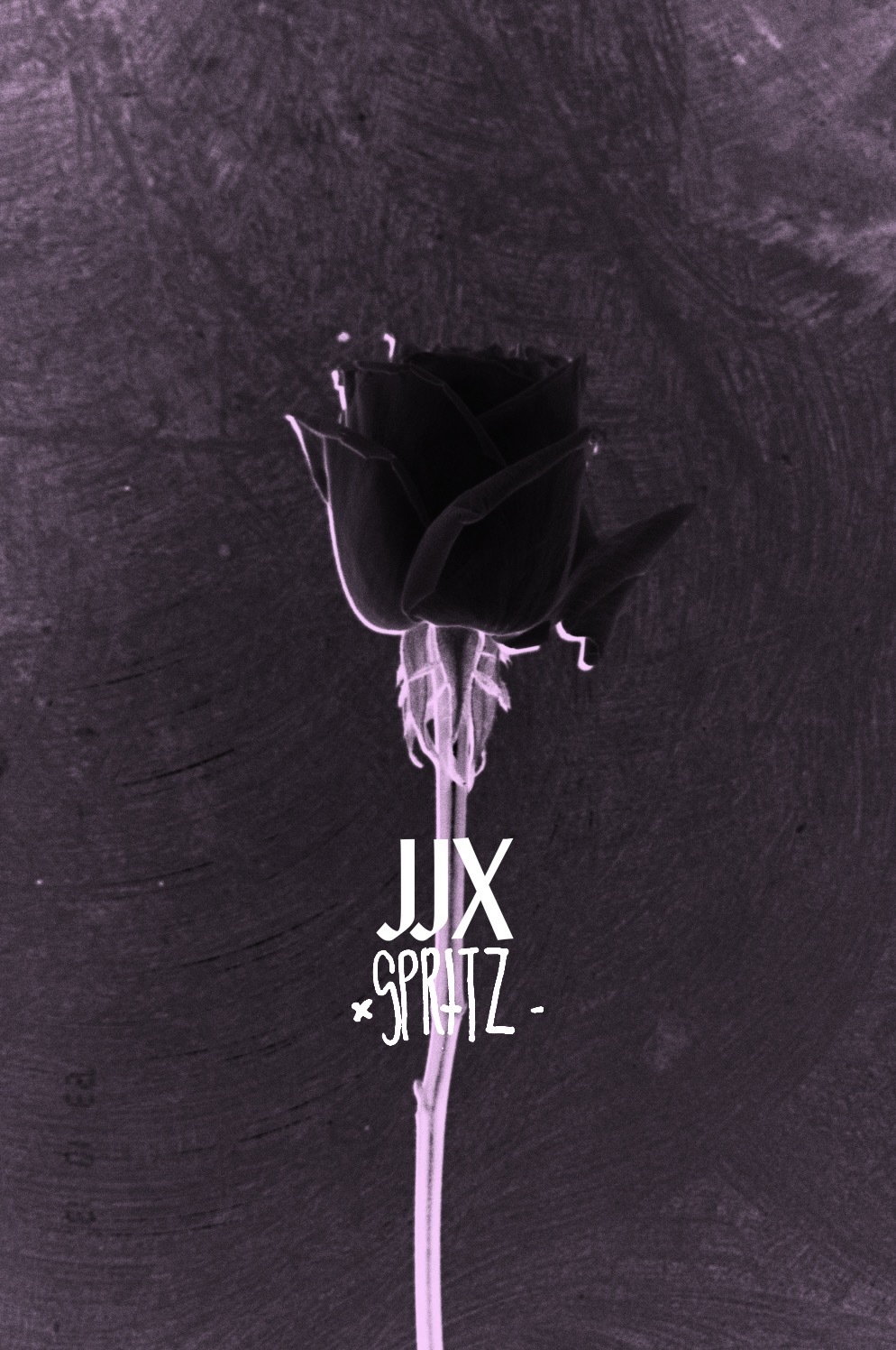 Midsumma Festival - Vicky P's Perks