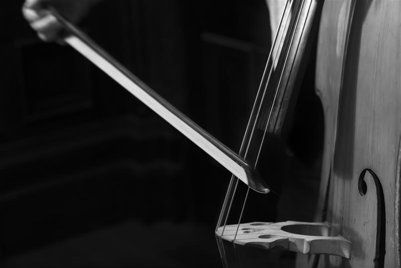 Midsumma Festival - Capturing Courage – Miranda Hill